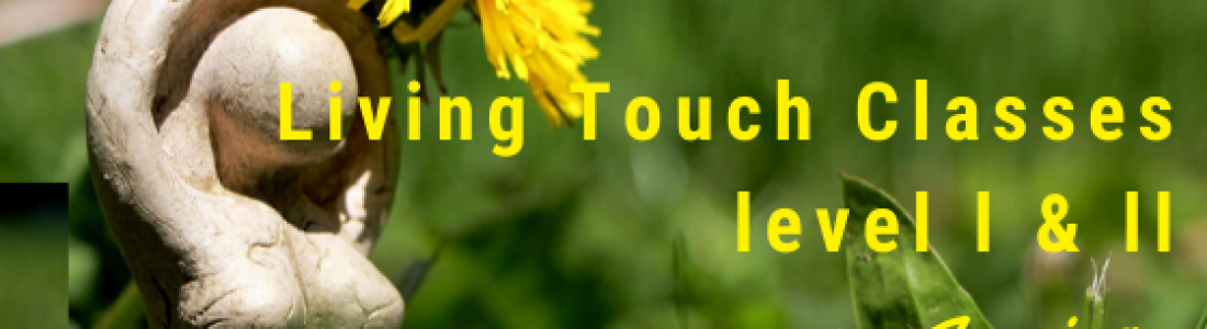 Living Touch Classes Level l Mixed group - Living Touch